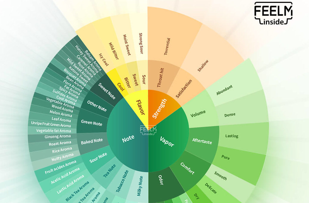 FEELM Taste Evaluation Model - New Vape Tech • VAPEAST