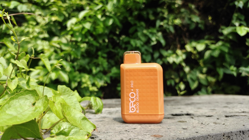 What To Look For in the Best Disposable Vape • VAPEAST