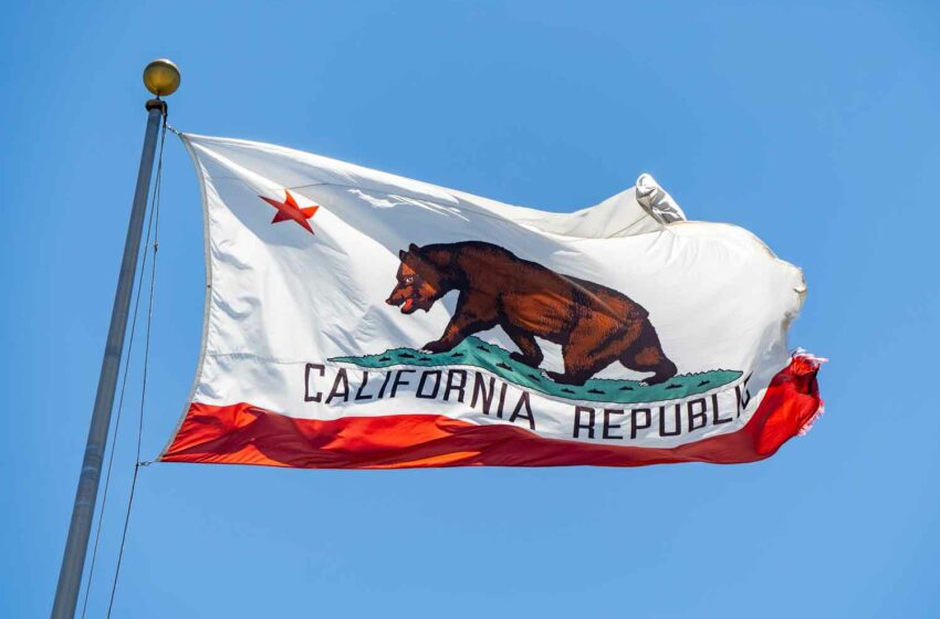 Flavored Vapes Persist Online Despite California's Ban • VAPEAST